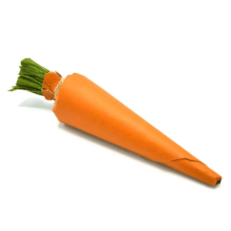 Oxbow Enriched Life Crunchy Carrot | Best Price & Fast Delivery SA