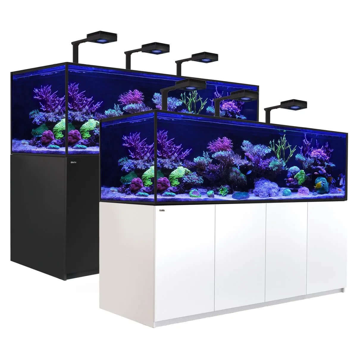 Red Sea Reefer G2+ S1000: Premium Aquarium System