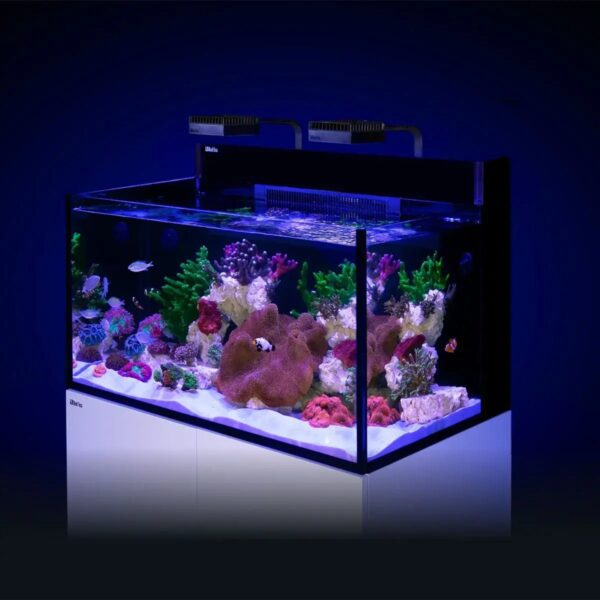 Red Sea Max NANO G2 XXL: Complete 200L Reef System