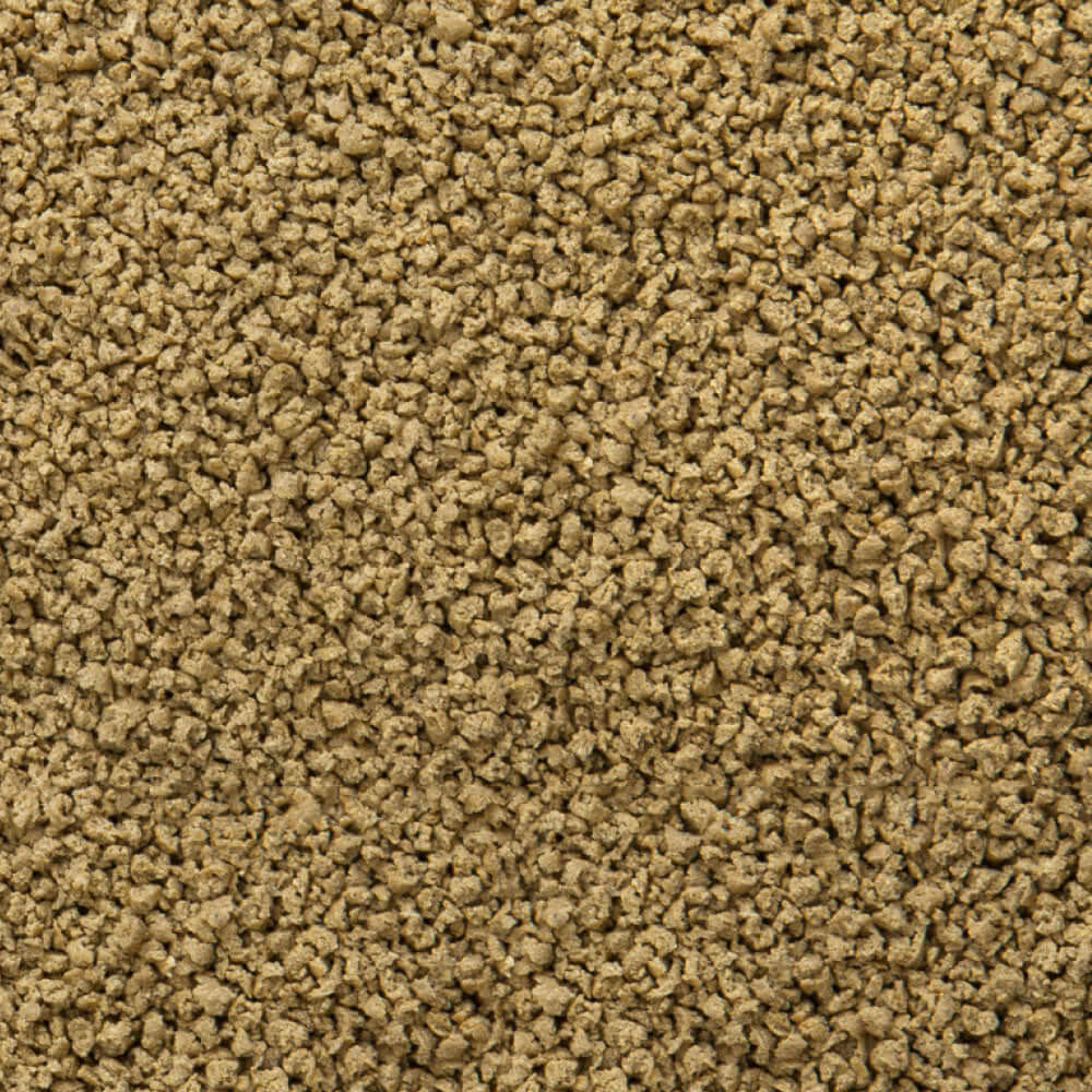 Sera Immune Probiotic Granules - Boost Fish Growth & Health